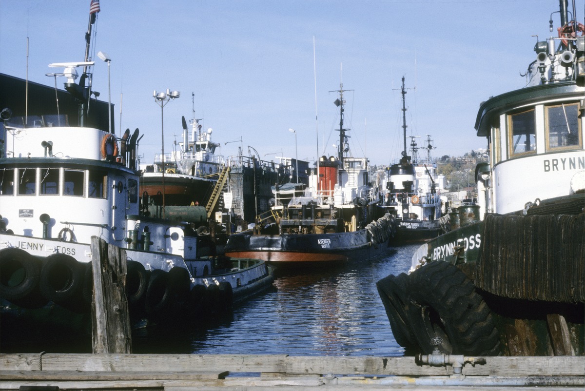 Life on the Cut - CityArchives | seattle.gov