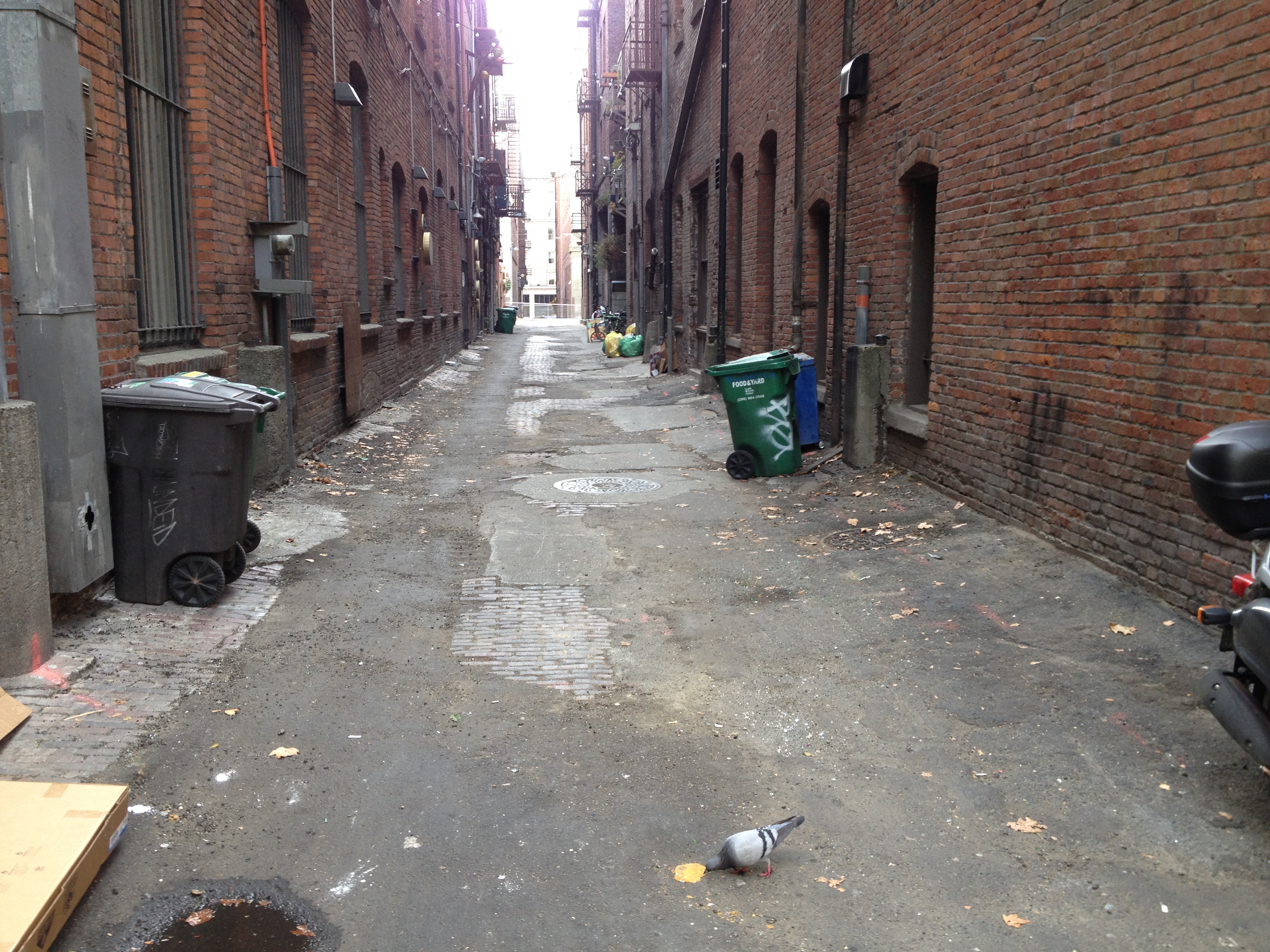 Canton, Nord, & Pioneer Passage Alley Improvement Project ...
