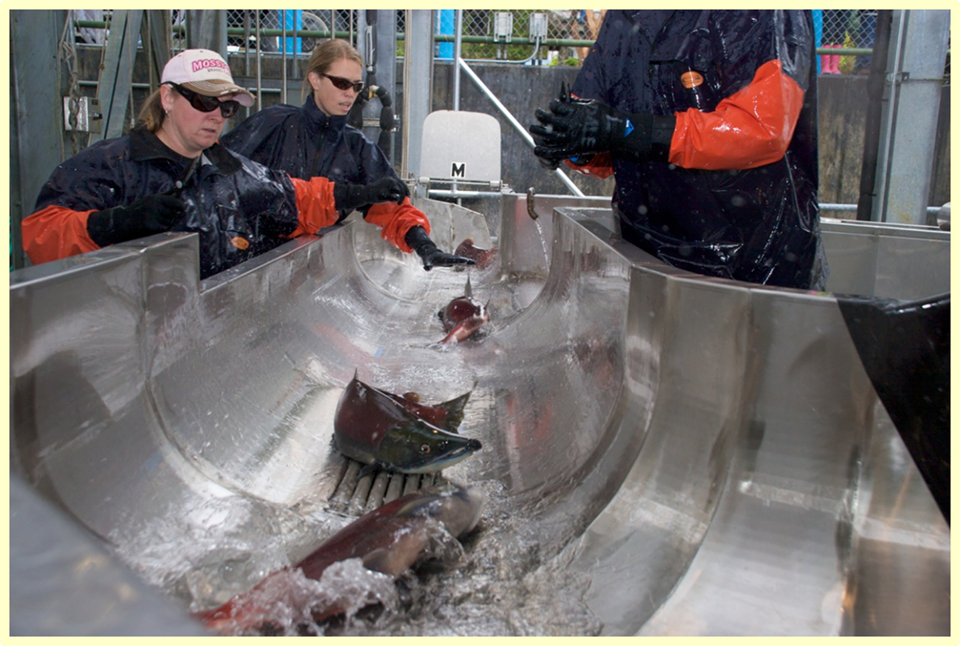 Landsburg Fish Passage - Utilities | seattle.gov
