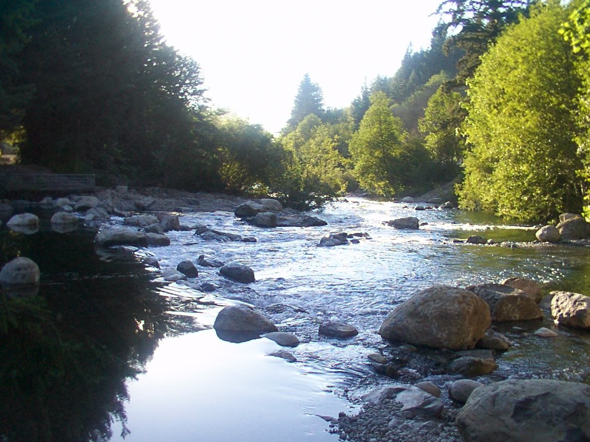 Landsburg Fish Passage - Utilities | seattle.gov