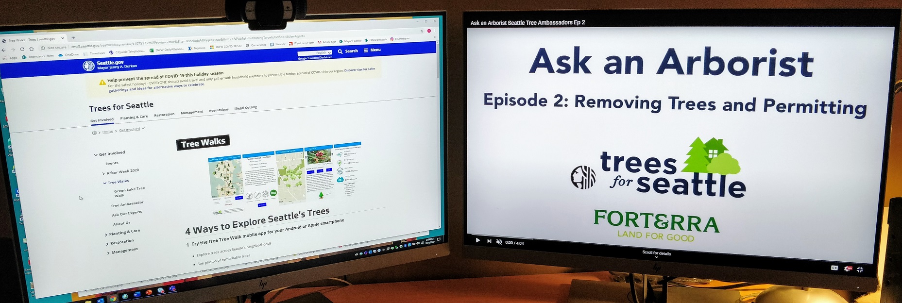 Explore Trees Online - Trees | seattle.gov