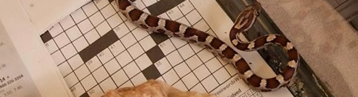 Animal Control - Animal Shelter | seattle.gov